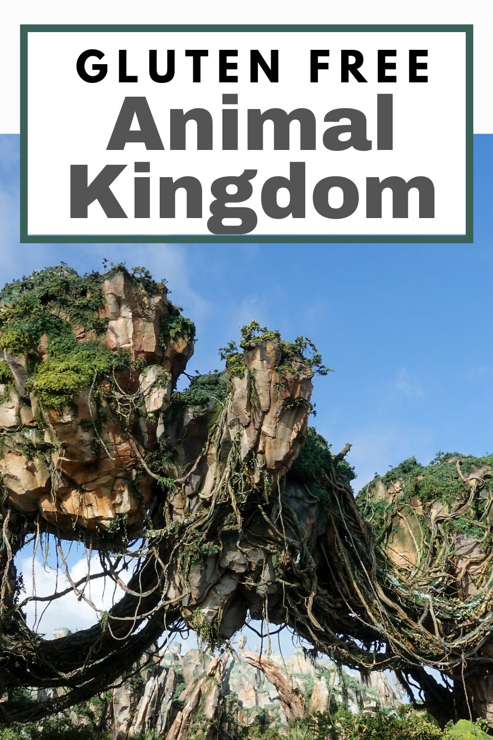 Best Gluten Free Animal Kingdom Dining Options - simplifyorlando.com